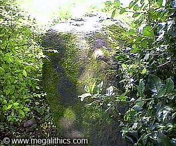 Tuosist - Stone Circle - Co. Kerry
